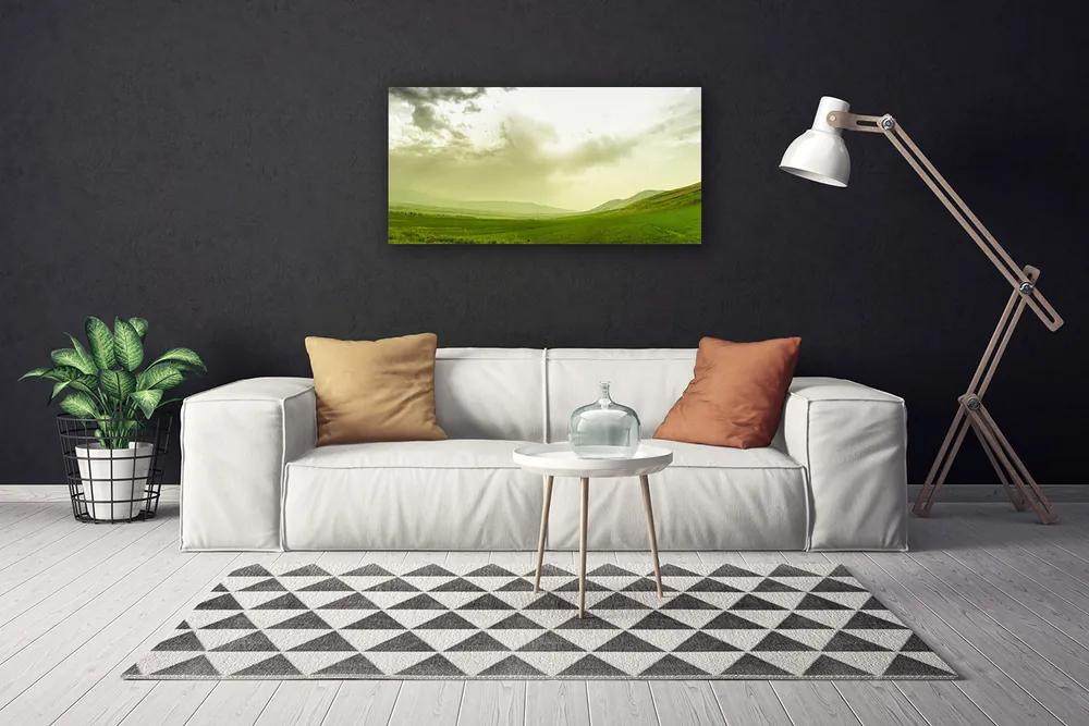 Obraz na plátně Louka Příroda Zelený Výhled 120x60 cm