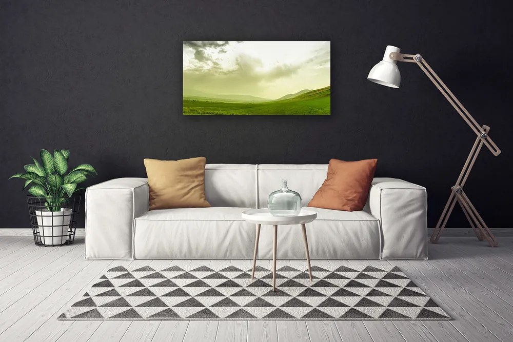 Obraz na plátně Louka Příroda Zelený Výhled 140x70 cm