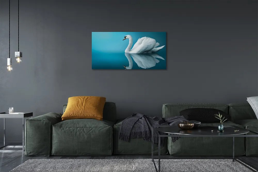 Obrazy na plátně Swan ve vodě 100x50 cm