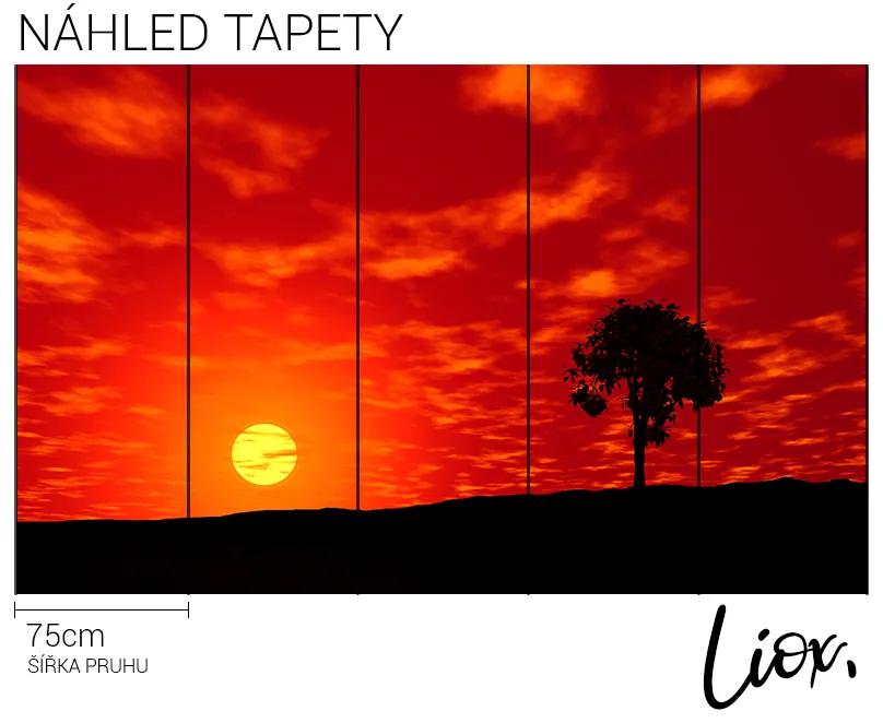 Liox Tapeta červený západ slunce