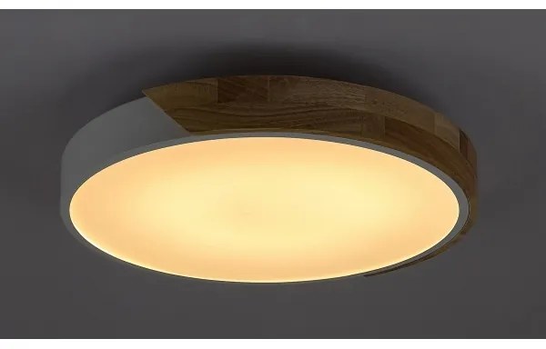 Rabalux 3527 - LED Stropní svítidlo MAPLE LED/24W/230V bílá