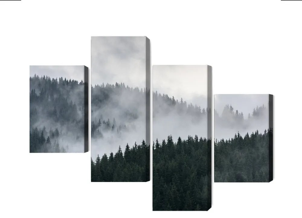Vícedílný obraz Zamlžená 3D Lesní Krajina Nedostatek Nedostatek Plátno Canvas 80x50