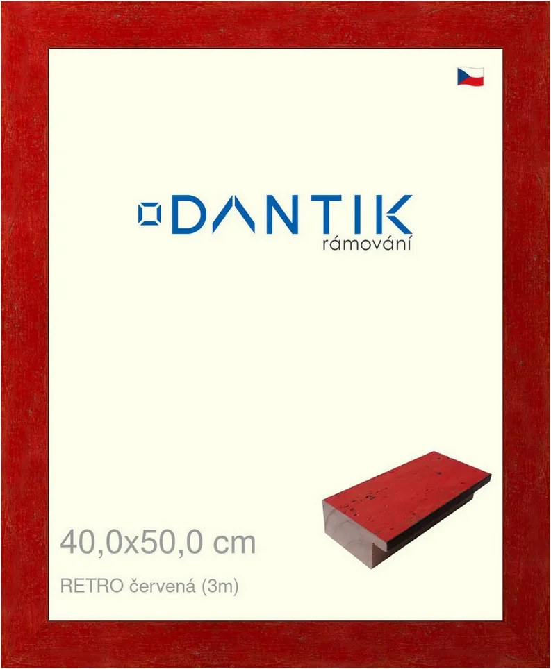 DANTIK rámeček 40x50 | RETRO červená (Sklo Čiré)