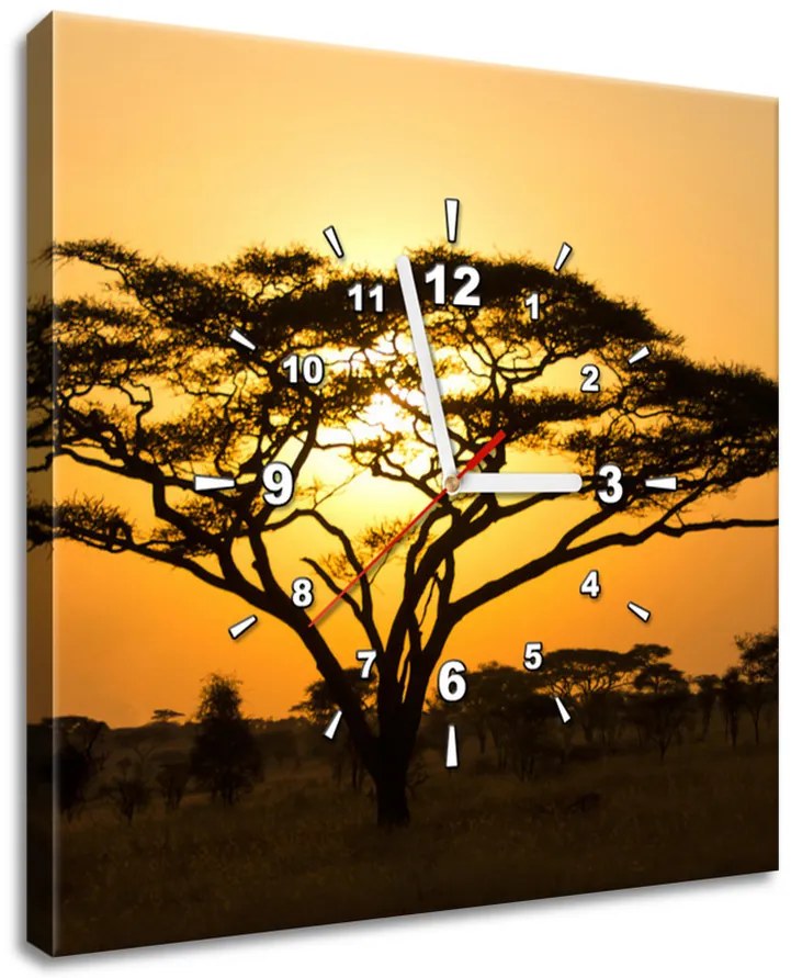 Gario Obraz s hodinami Akácie v Serengeti Rozměry: 40 x 40 cm
