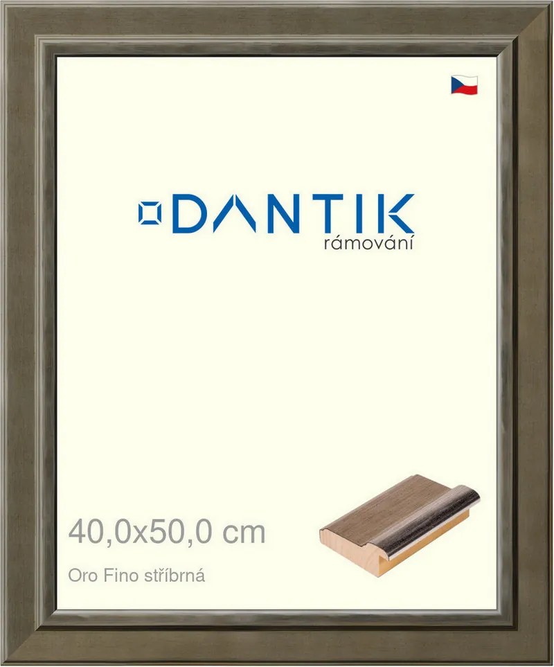 DANTIK rámeček 40x50 | Oro Fino stříbrná (Plexi Čiré)