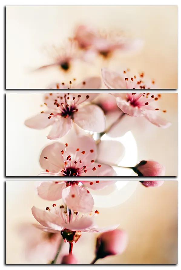 Obraz na plátně - Malé květy na větvi - obdélník 7173B (105x70 cm)