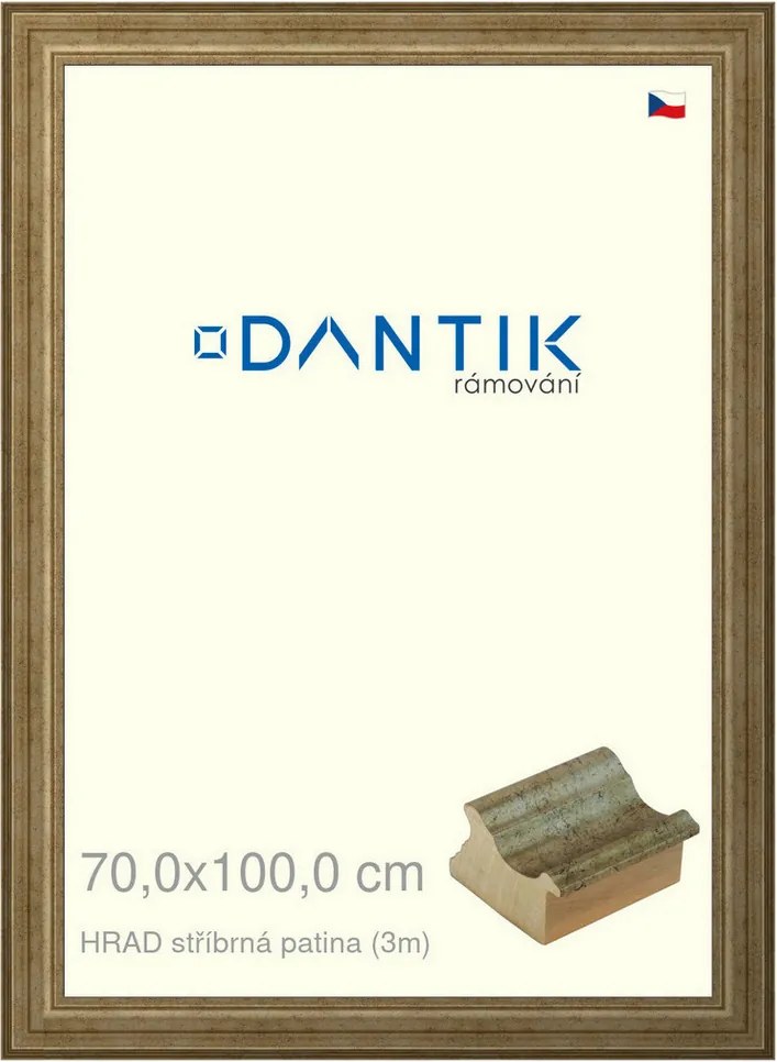 DANTIK rámeček 70x100 | HRAD stříbrná patina (Plexi Čiré)