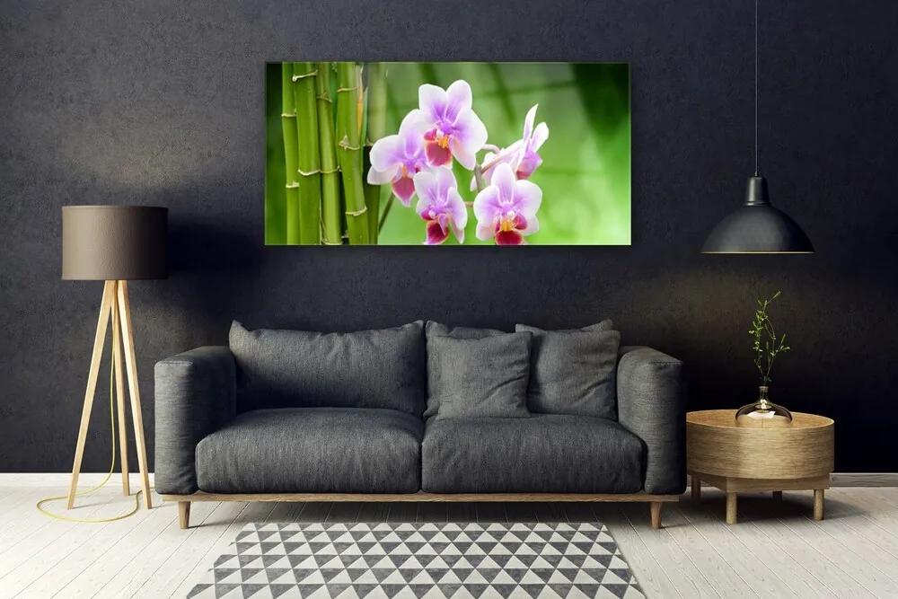 Plexisklo-obraz Bambus Orchidej Květiny Zen 120x60 cm