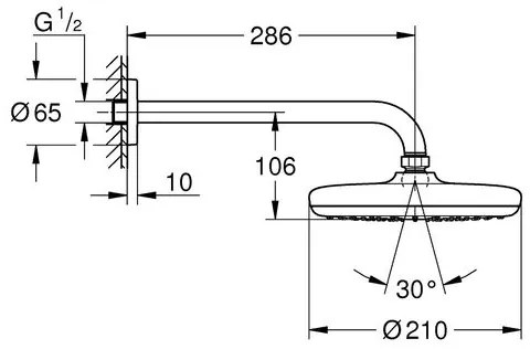 Grohe Tempesta 210 Hlavová sprcha 26412000