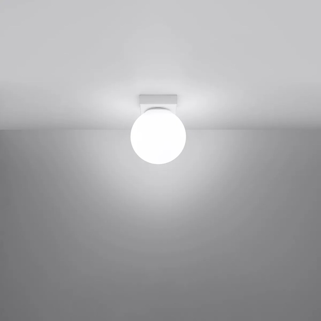 Sollux Lighting Stropní svítidlo YOLI 1 bílé