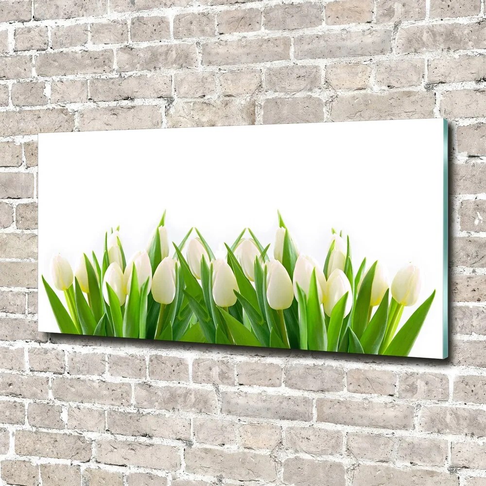 Wallmuralia Fotoobraz na skle Bílé tulipány 140x70 cm