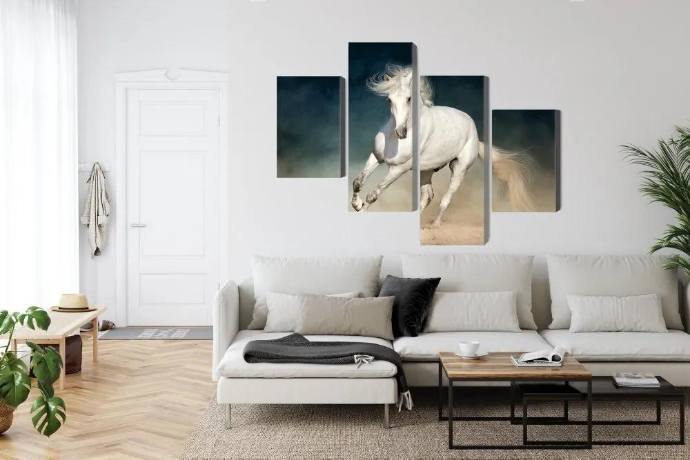 Vícedílný obraz Bílý Kůň Ve Cvalu Nedostatek Nedostatek Plátno Canvas 120x75