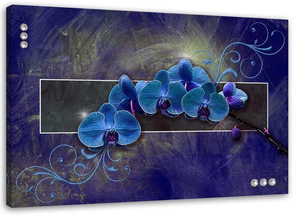 Obraz na plátně Orchidej Květina Modrá - 60x40 cm