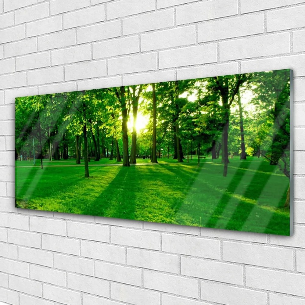 akrylový obraz Les Příroda 125x50 cm