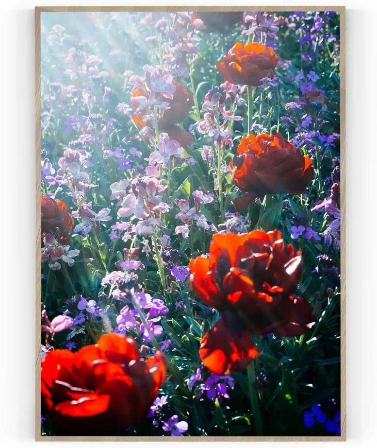 Plakát / Obraz Tulipa Pololesklý saténový papír 210 g/m² A4 - 21 x 29,7 cm