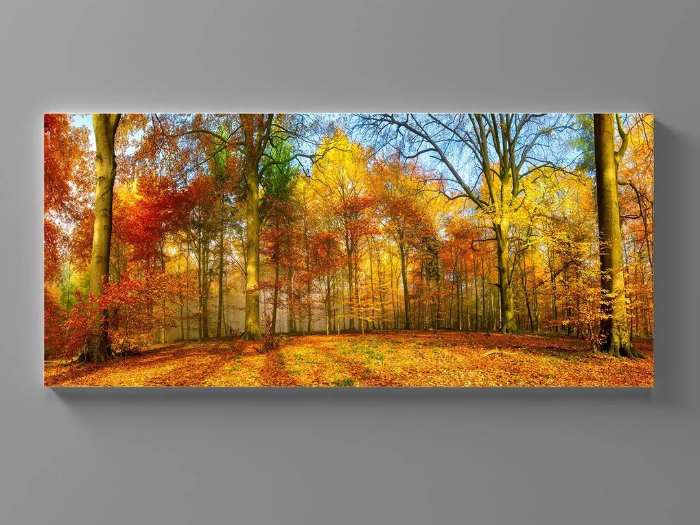 XXL obraz barevný podzim Rozměr: 300 x 150 cm