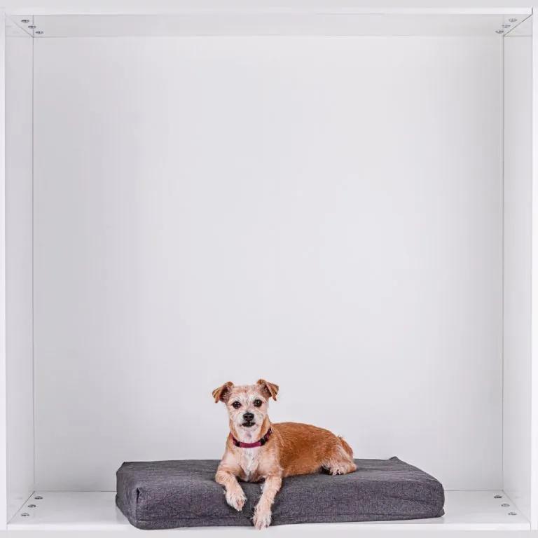 MOVIT 86817 Polštář pro psa velikost M, světle šedý, 100 x 65 x 10 cm