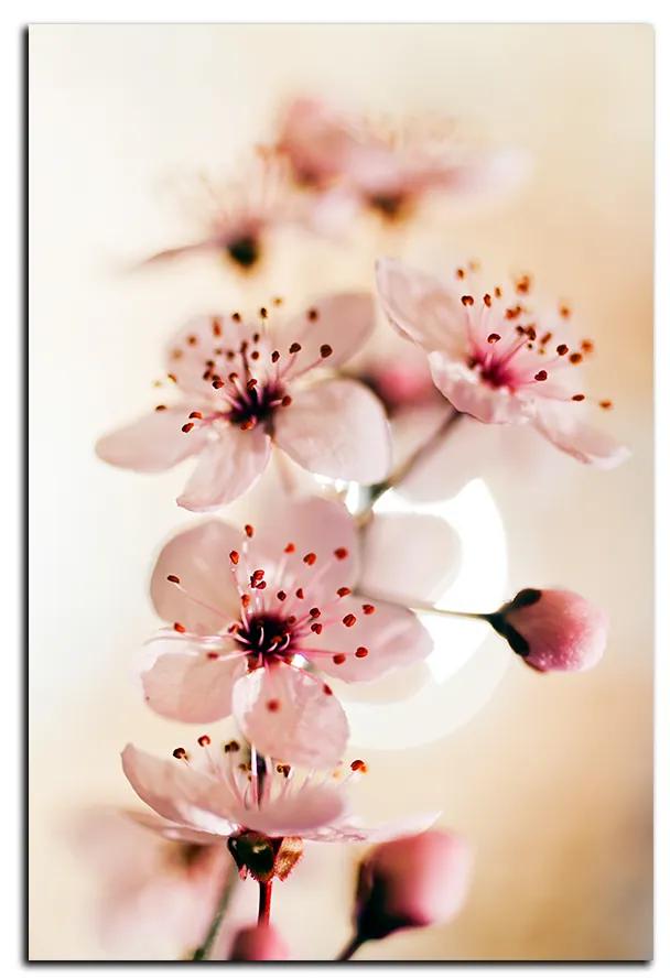 Obraz na plátně - Malé květy na větvi - obdélník 7173A (100x70 cm)