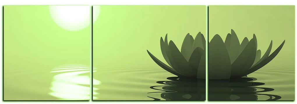 Obraz na plátně - Zen lotus - panoráma 5167ZC (90x30 cm)