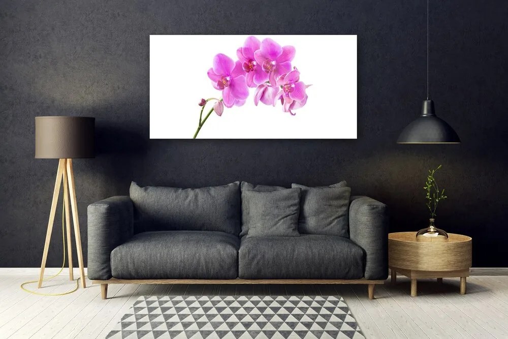 Plexisklo-obraz Vstavač Květ Orchidej 120x60 cm