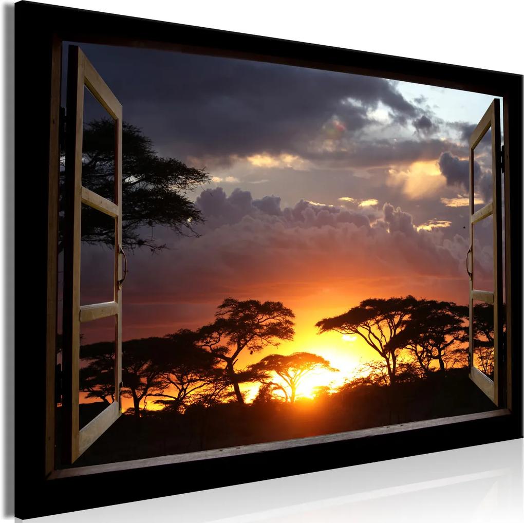 3D obraz okno Serengeti + háčky, hřebíčky ZDARMA Velikost (šířka x výška): 90x60 cm