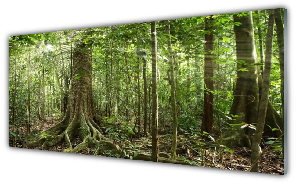 Plexisklo-obraz Les Příroda Džungle 125x50 cm