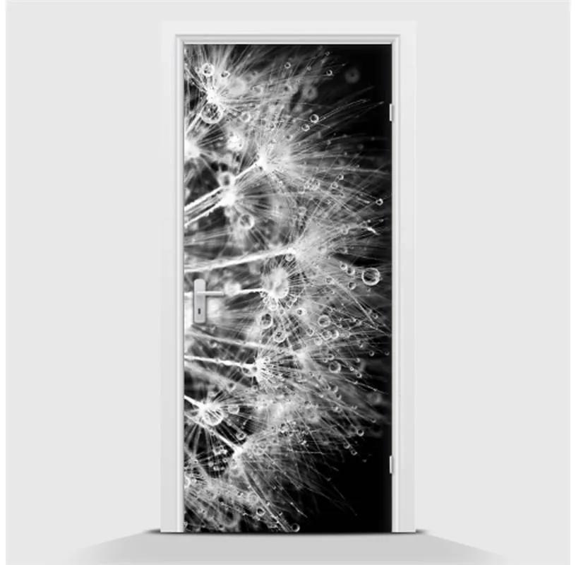 Samolepící fototapeta - Pampelišká rozkvetlá 95 x 210cm