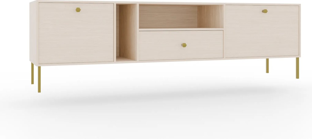 ADRK Furniture TV skříňka 2D 1S Tili