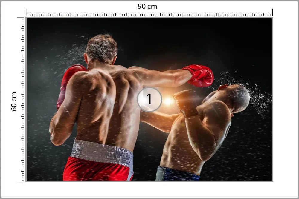 Fototapeta Boj Boxerů Samolepící tapety 254x184