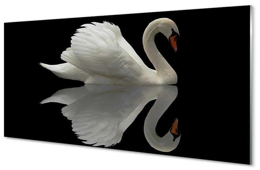 akrylový obraz Swan v noci 125x50 cm