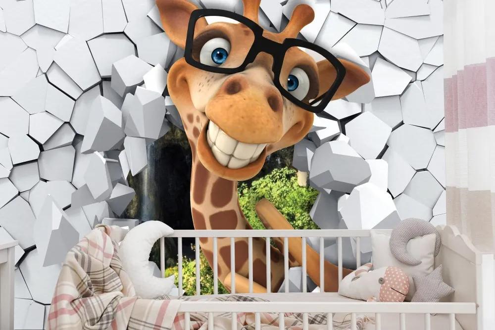 Fototapeta Smějící Se Žirafa S Brýlemi Omyvatelný vlies 450x300