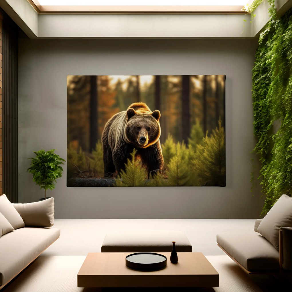 Obraz na plátně - Medvěd Grizzly na průzkumu v jehličnatém lese FeelHappy.cz Velikost obrazu: 90 x 60 cm