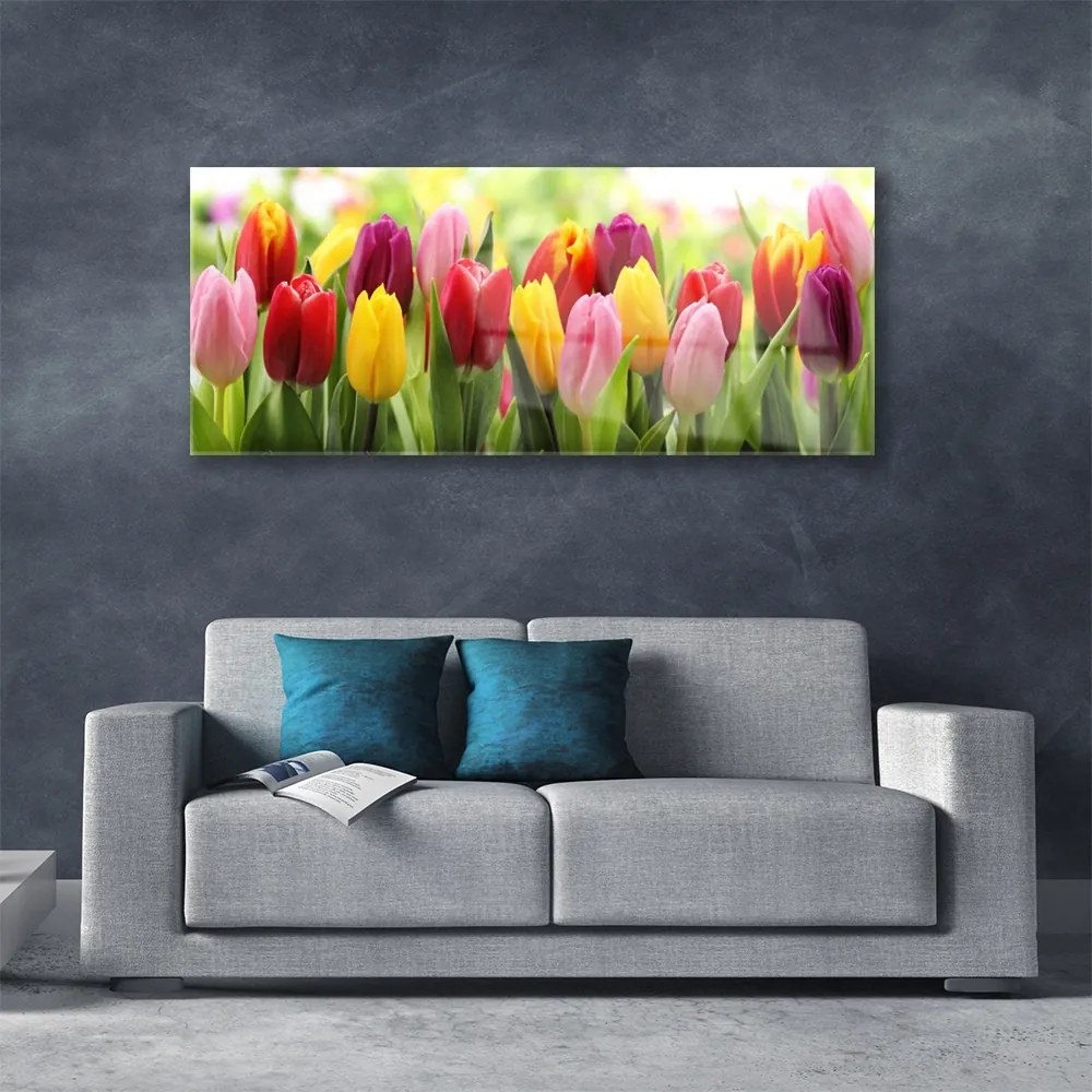 Plexisklo-obraz Tulipány Květiny Příroda 125x50 cm