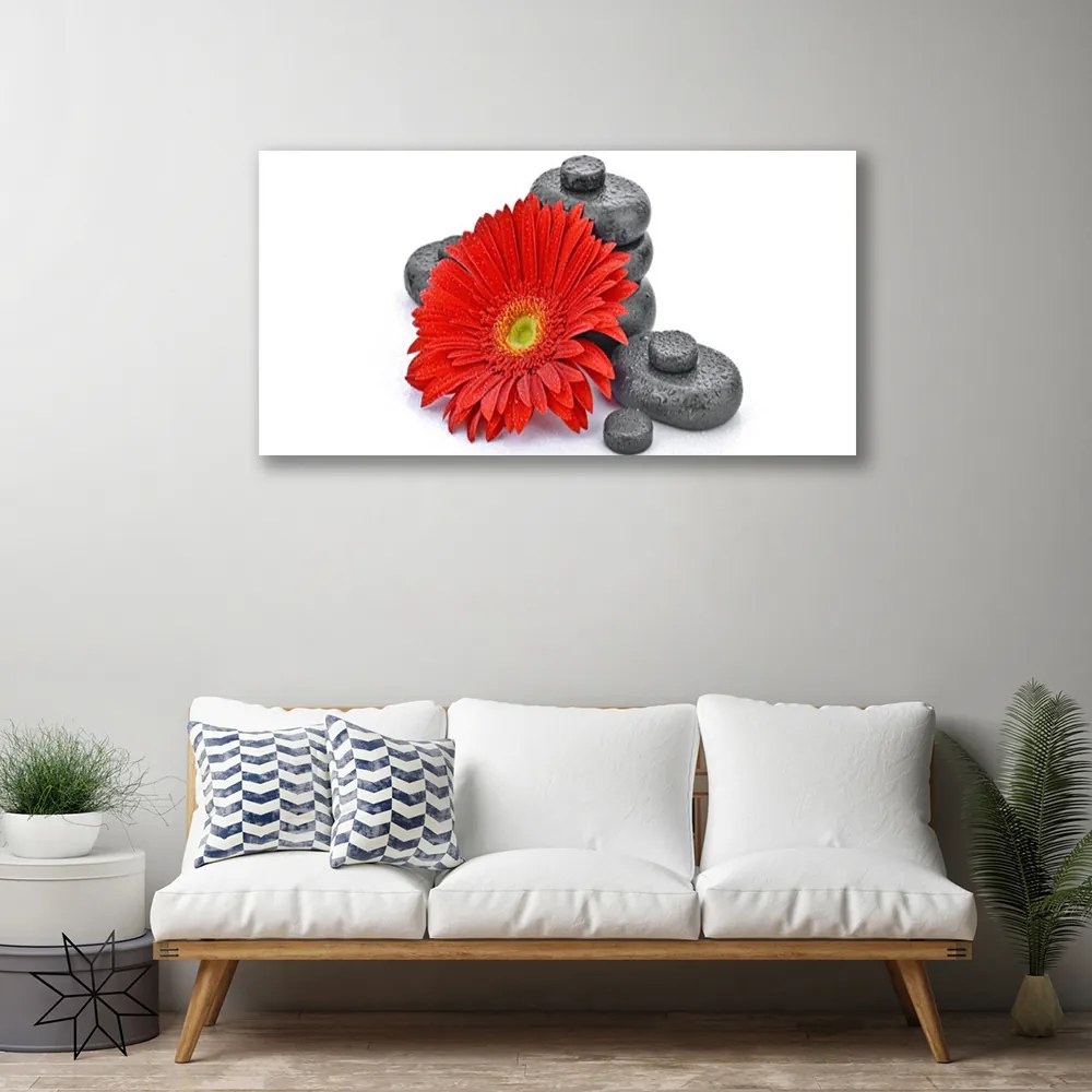 Obraz na plátně Květiny Gerbery Kameny Zen 120x60 cm