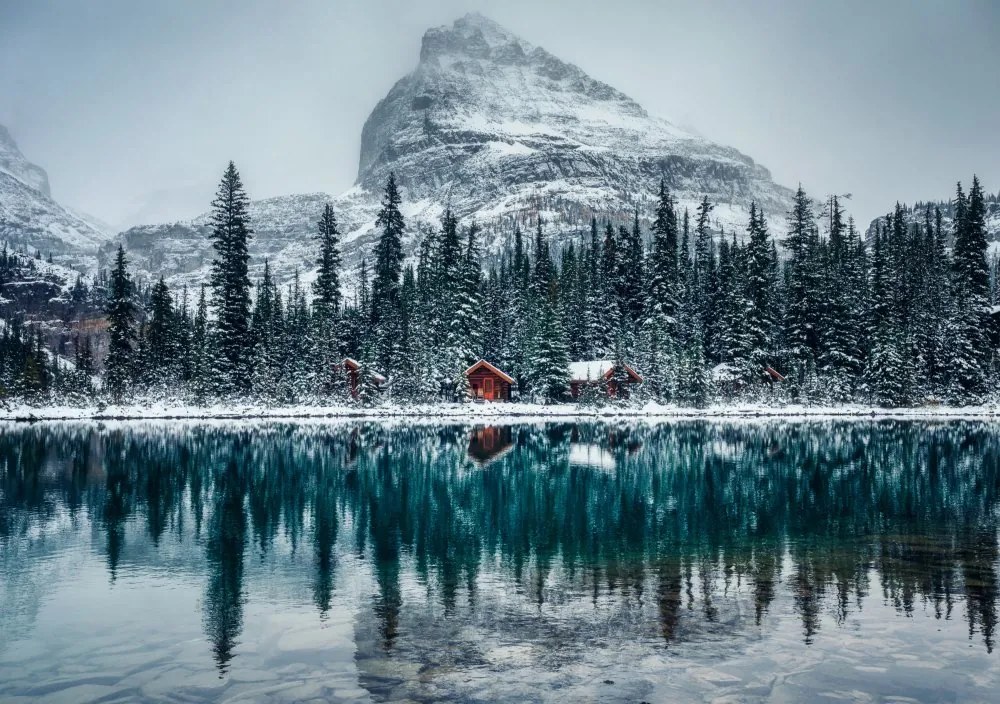 Fototapeta Lake O&amp;#039;hara V Kanadě Hladký vinyl 104x70.5