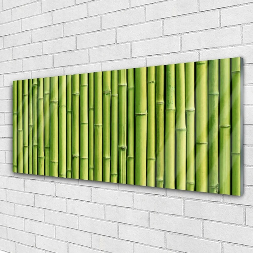 akrylový obraz Bambus Rostlina Příroda 125x50 cm