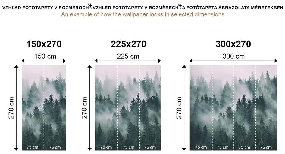 Samolepící fototapeta rozkvetlé stromy třešně