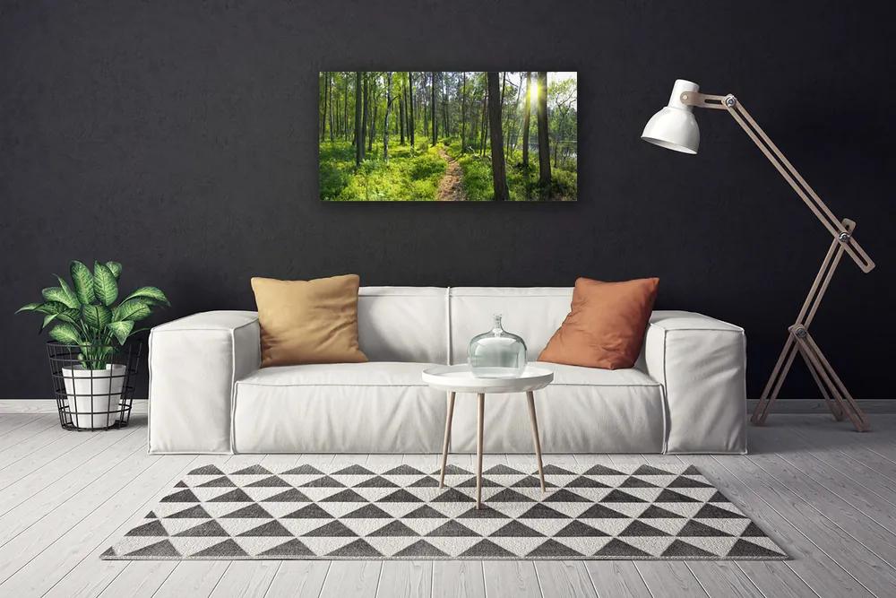 Obraz na plátně Les Stezka Cestička Příroda 120x60 cm