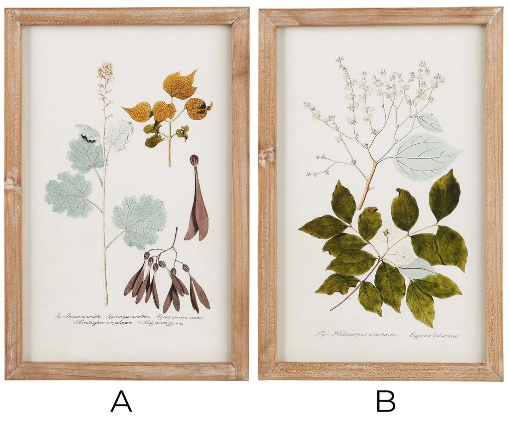 IB LAURSEN Obraz v rámu Plant Motifs 25 x 38 cm A, béžová barva, přírodní barva, sklo, dřevo, papír