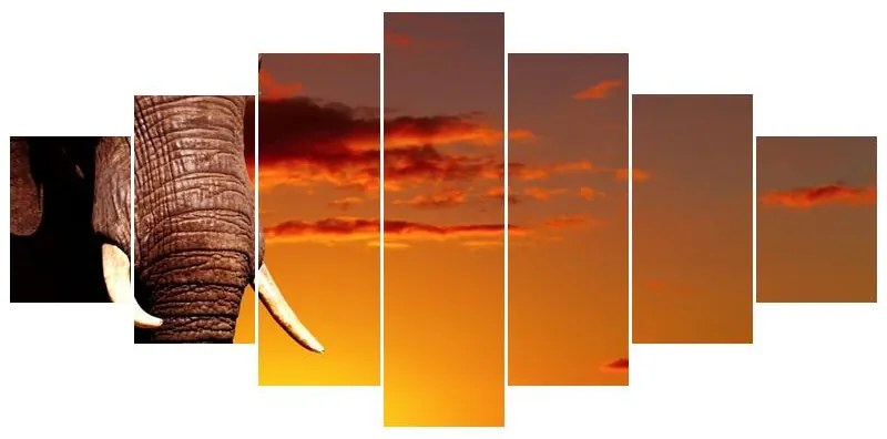 Obraz slona v pozadí s černobílými siluetami  (210x100 cm), 40 dalších rozměrů