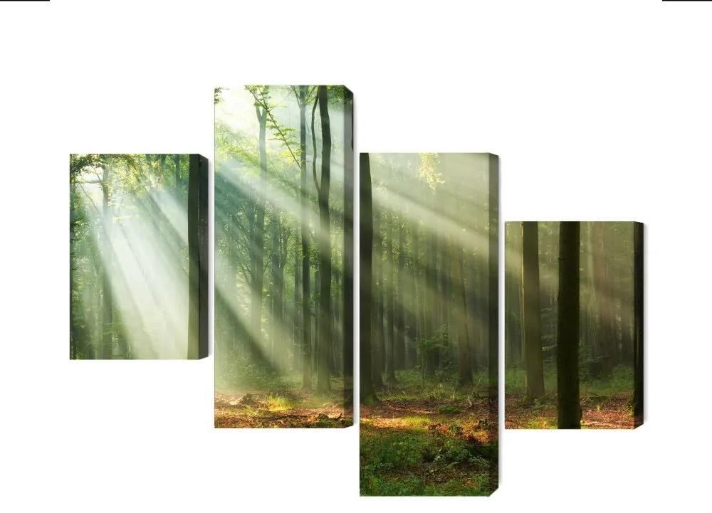 Vícedílný obraz Lesní Krajina V Dopoledních Hodinách Nedostatek Nedostatek Plátno Canvas 160x100