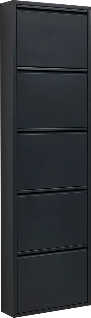 XXXLutz VYKLÁPĚCÍ BOTNÍK, antracitová, 50/169,5/15 cm Carryhome - Výklopné botníky - 000742000110