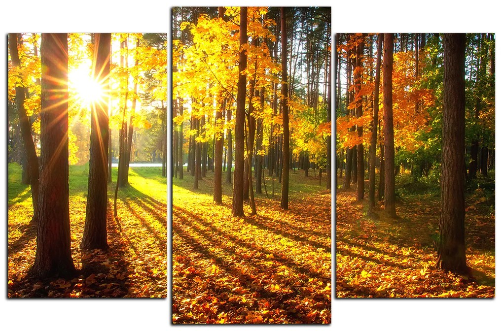 Obraz na plátně - Podzimní les 1176C (135x90 cm)