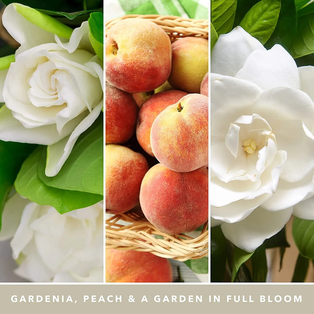 Yankee Candle vonná svíčka Signature ve skle střední White Gardenia 368g