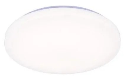 LED Stmívatelné stropní svítidlo s hlasovým ovládáním OPAL LED/48W/230V + DO