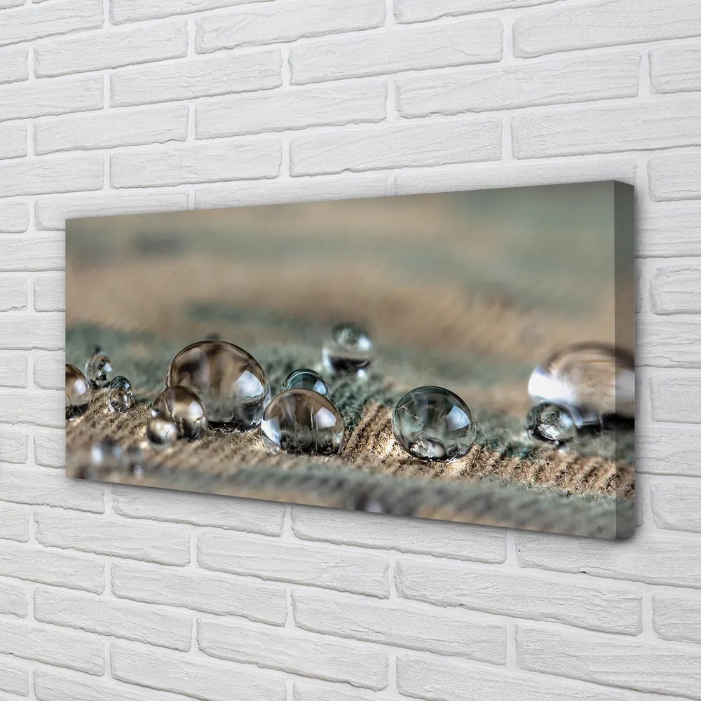 Obrazy na plátně Kapky makro materiál 100x50 cm