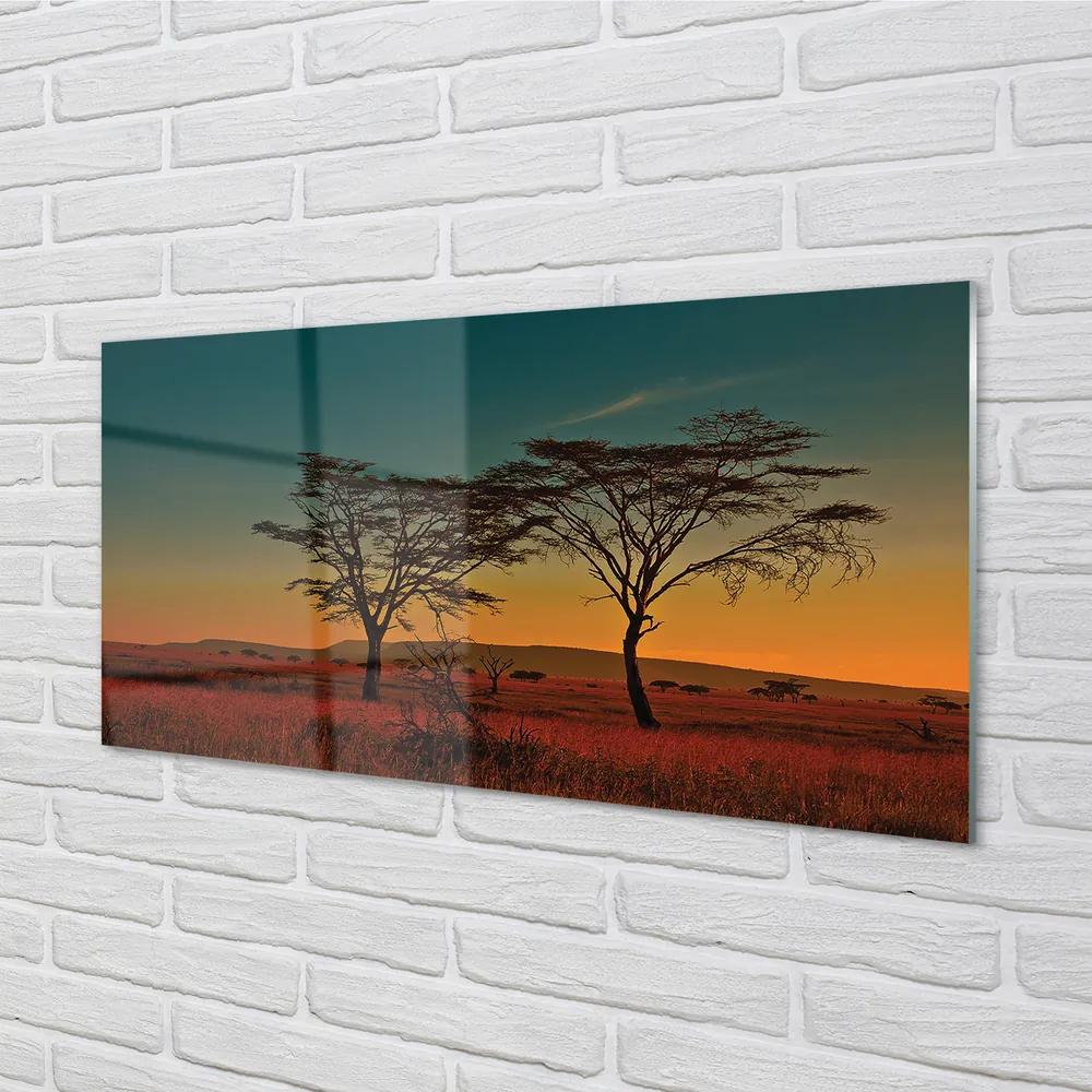 akrylový obraz oblohy stromu 100x50 cm