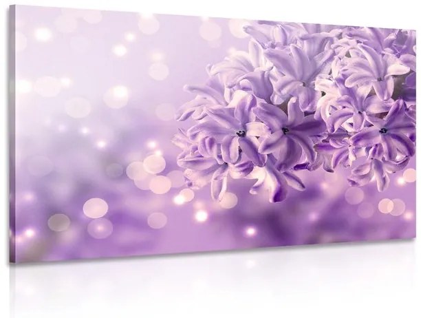 Obraz fialový květ šeříku Varianta: 90x60
