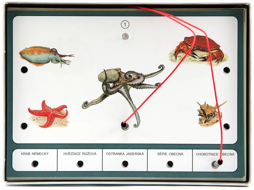 SVOBODA VOLTÍK Hra Zvířata světa elektronická vědomostní na baterie Světlo sv65009