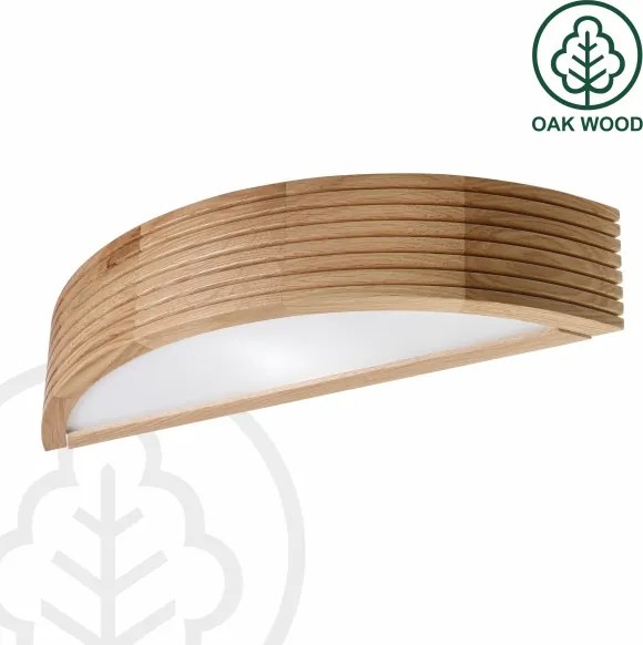 BRILAGI - LED Nástěnné svítidlo CARVALHO MODERN 1xE27/60W/230V dub